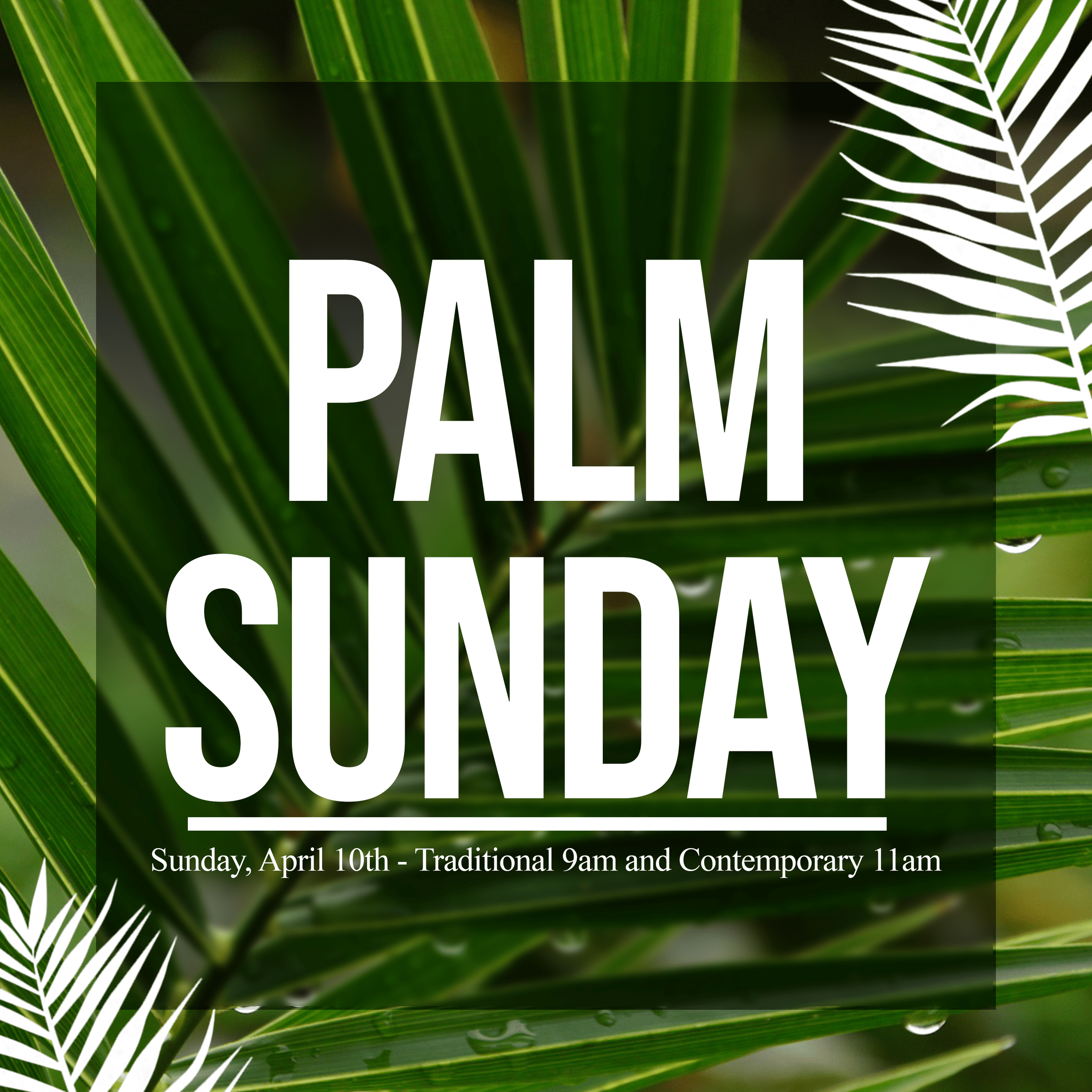 Palm Sunday Worship | First Pres Elkhart